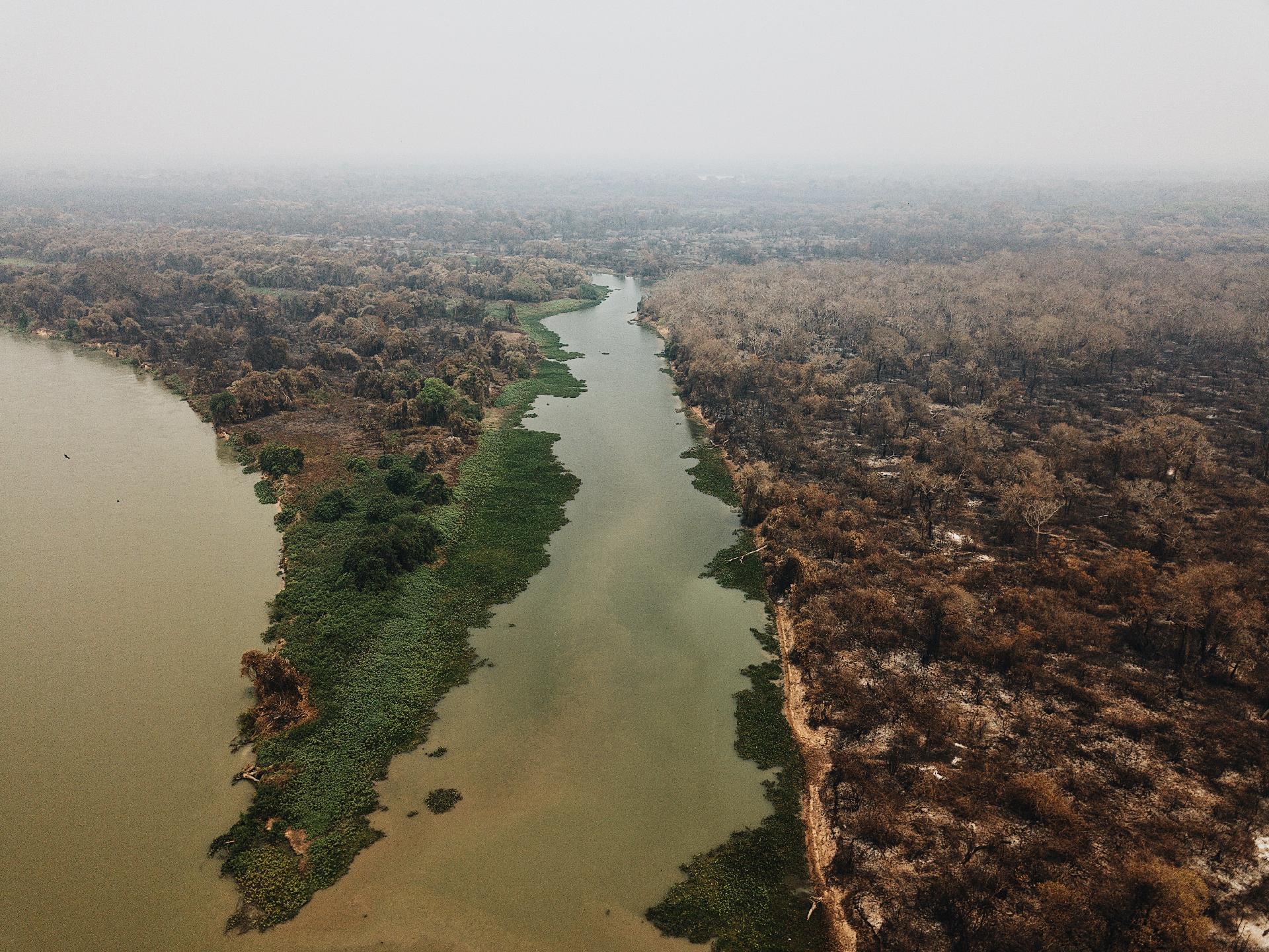 Pantanal Tem Maior Número Mensal De Focos De Incêndio Já Registrado