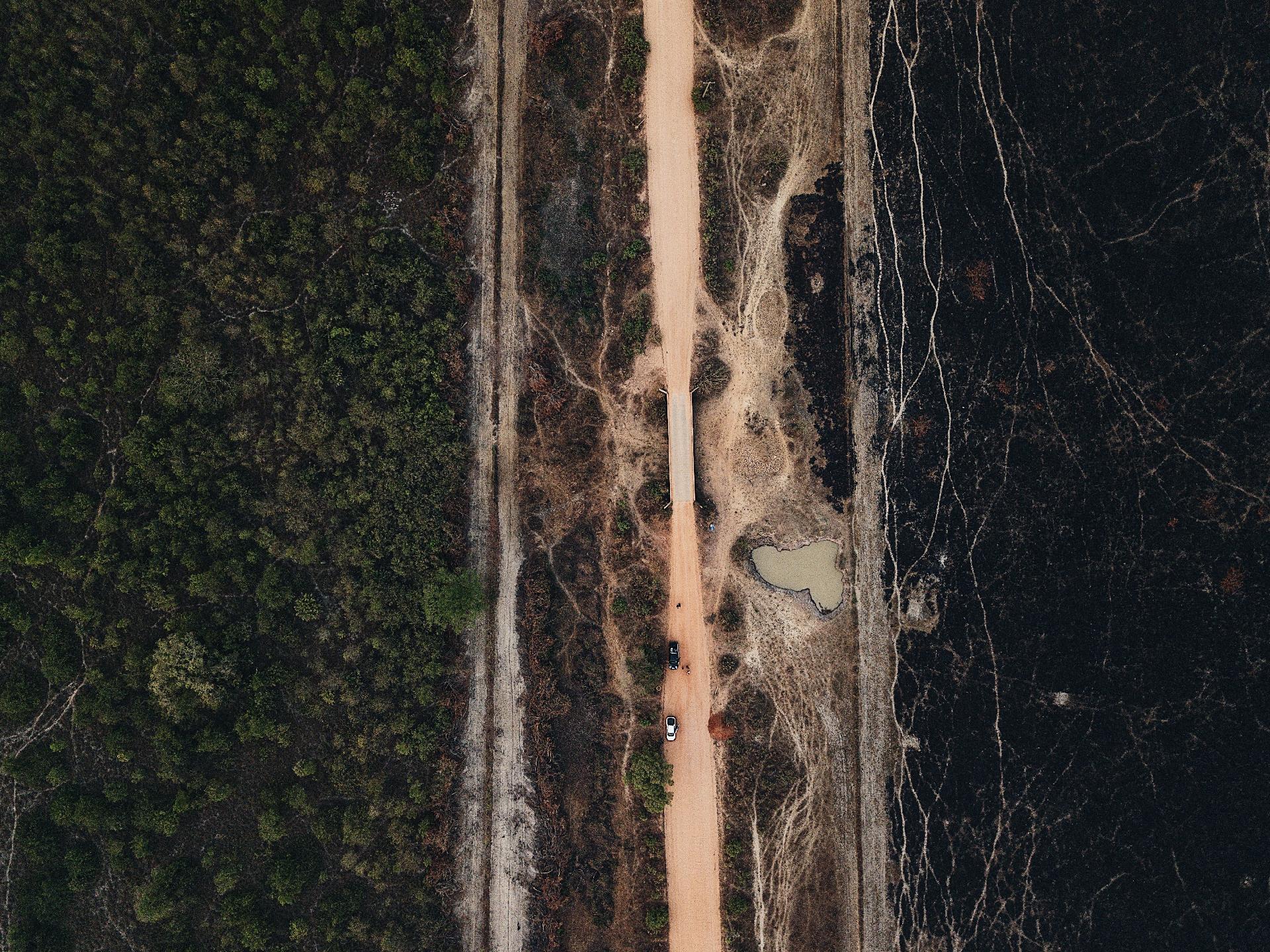 Pantanal Tem Maior Número Mensal De Focos De Incêndio Já Registrado