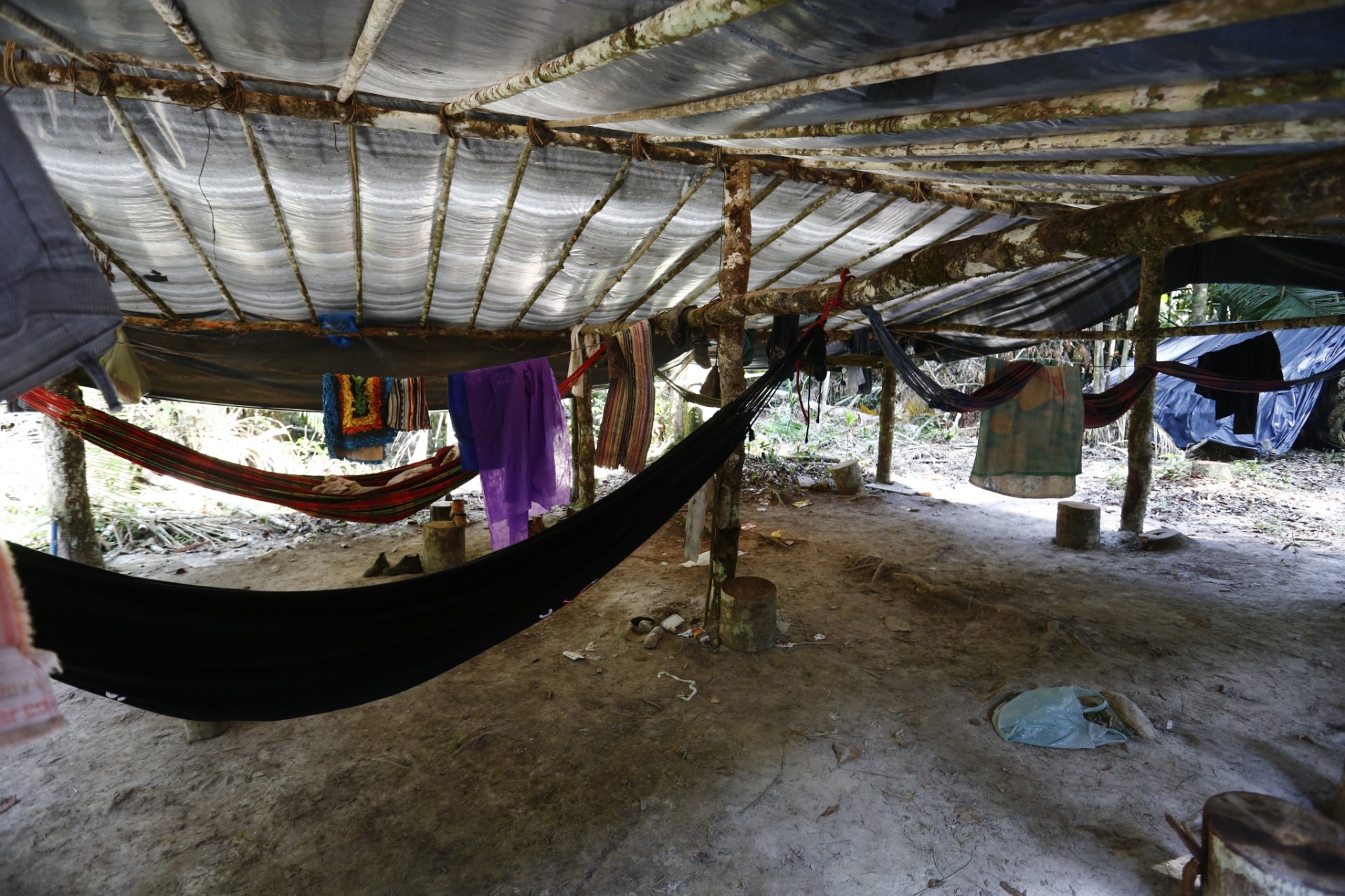 Ação humana contribuiu para seca sem precedentes na Amazônia diz estudo UOL Notícias