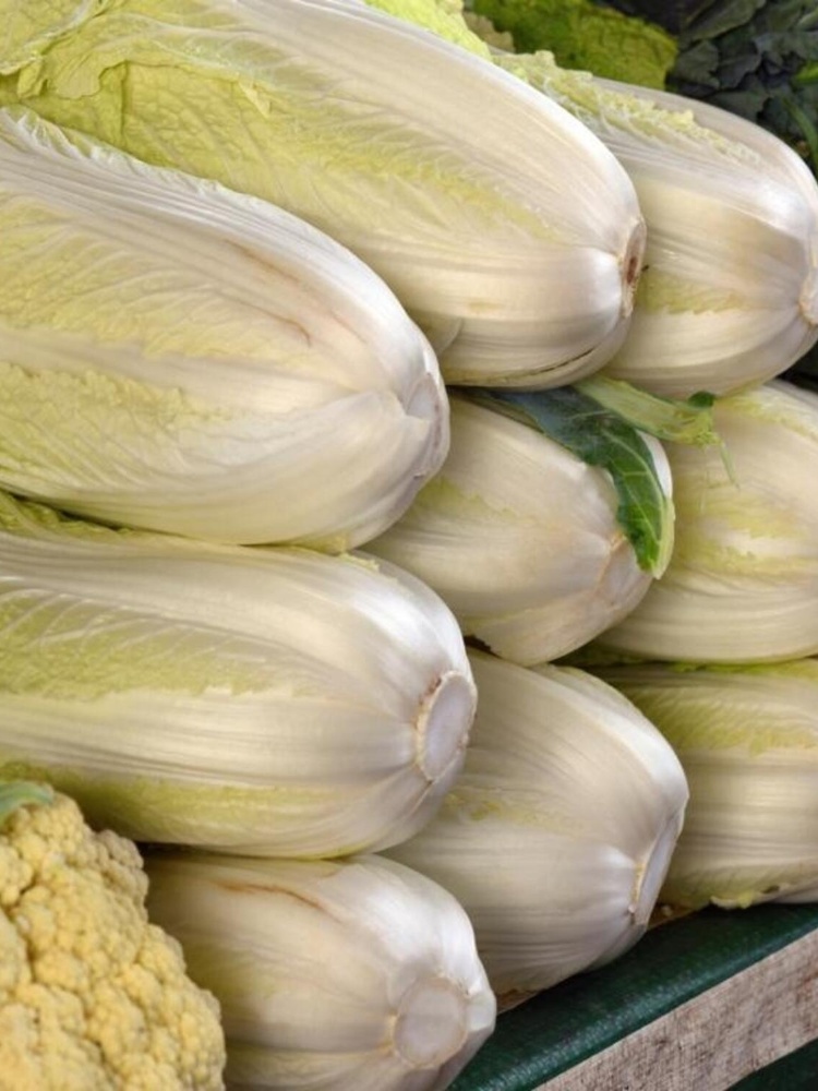 Controla açúcar no sangue, melhora raciocínio: os benefícios da acelga