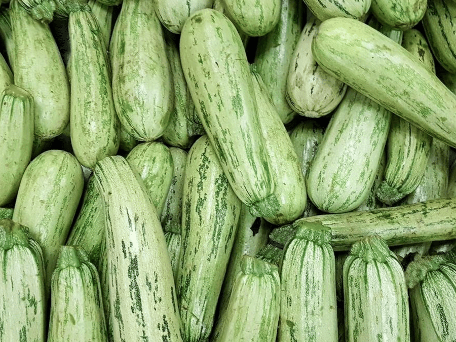 Reduz colesterol, faz bem à vista: os benefícios da abobrinha