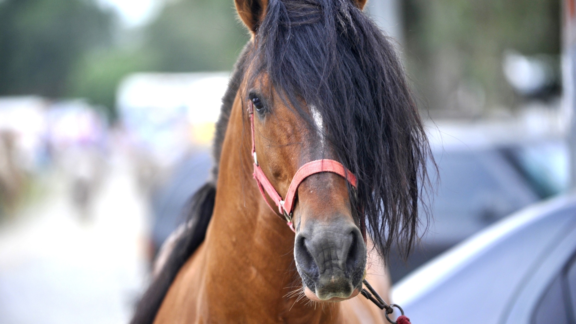 Fotos: Imagens do dia - 21 de abril de 2012 - 21/04/2012 - UOL Notícias