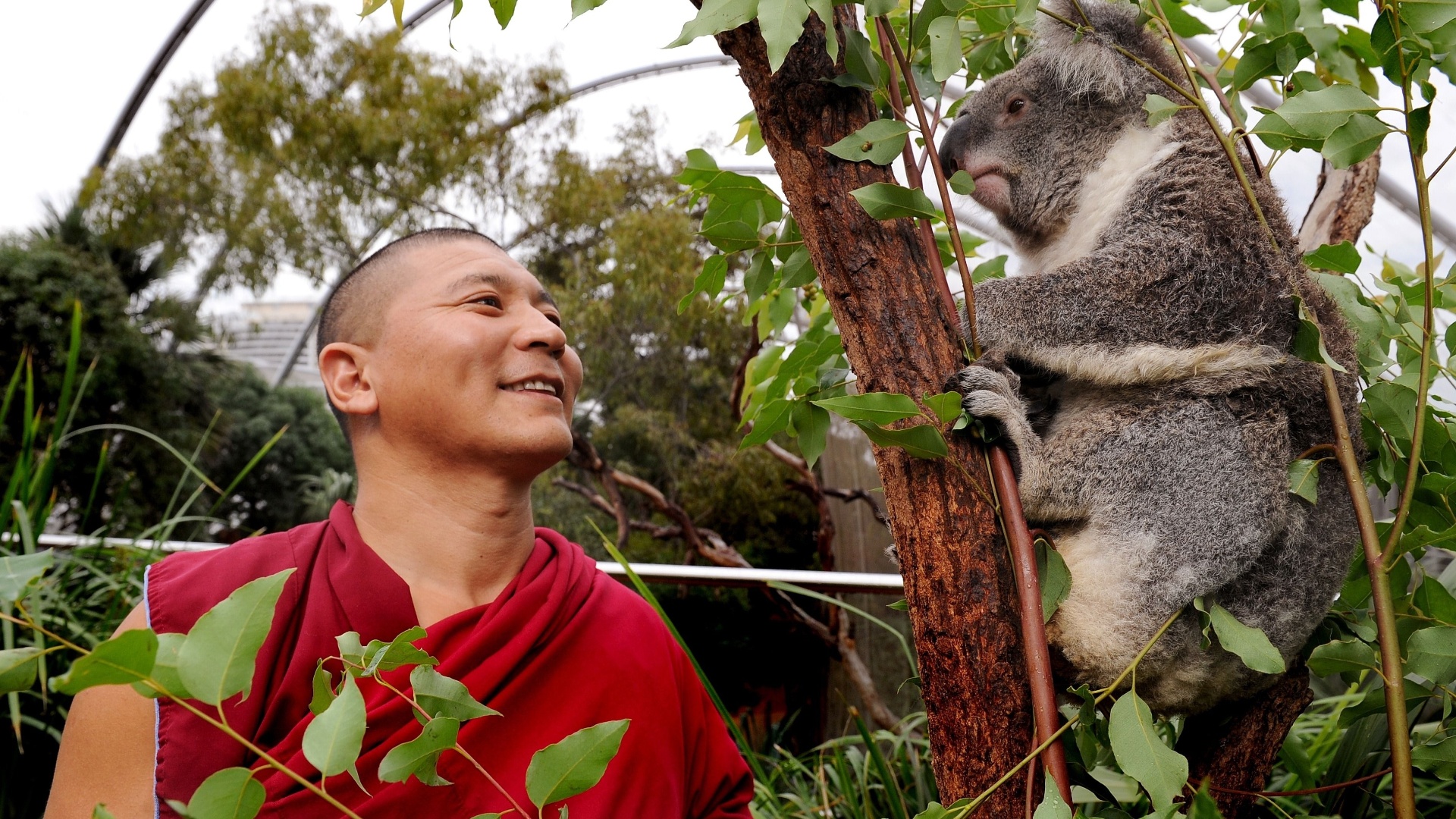 Fotos: Imagens do dia - 23 de abril de 2012 - 23/04/2012 - UOL Notícias