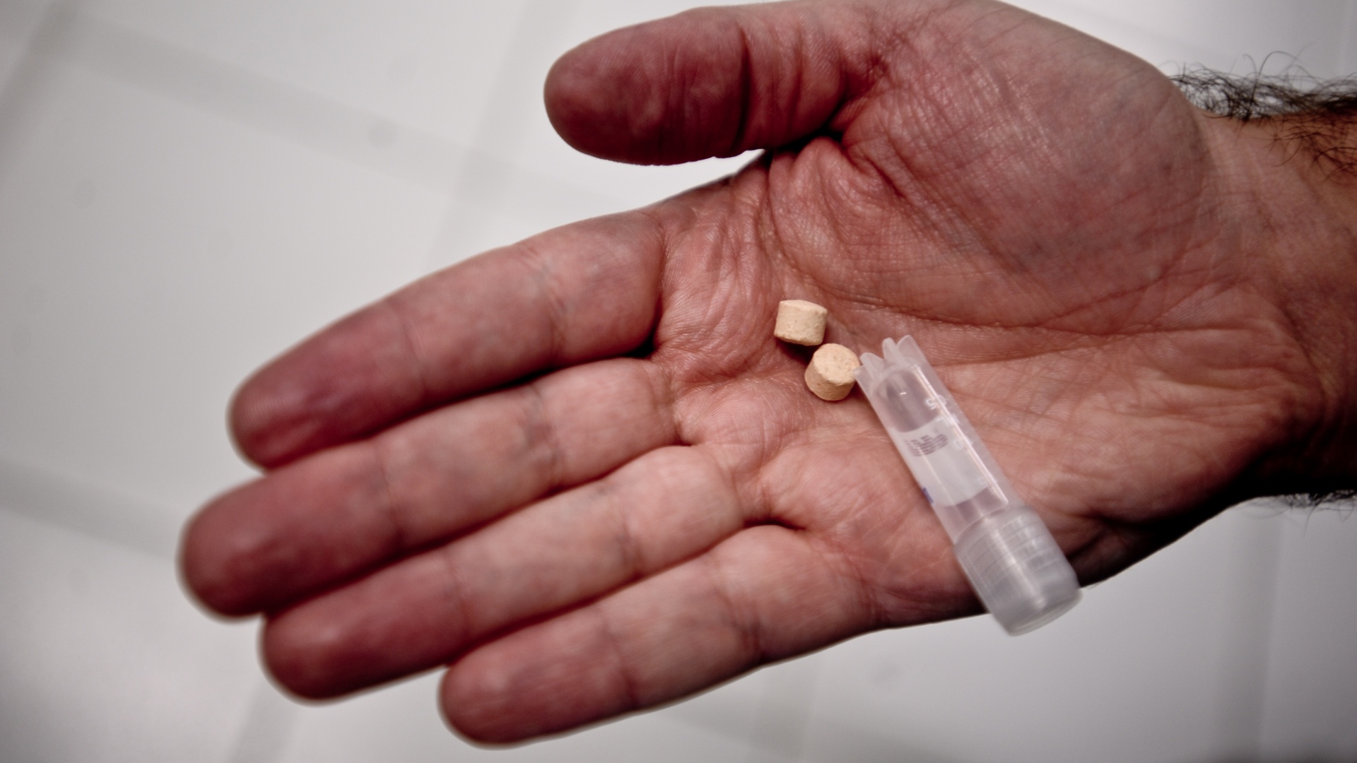 Fotos: Imagens do dia - 26 de abril de 2012 - 26/04/2012 - UOL Notícias