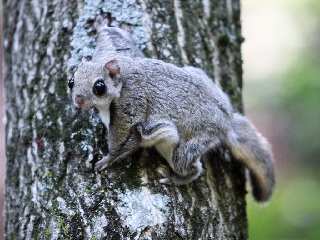 Fotos: Imagens do dia - 9 de maio de 2012 - 09/05/2012 - UOL Notícias