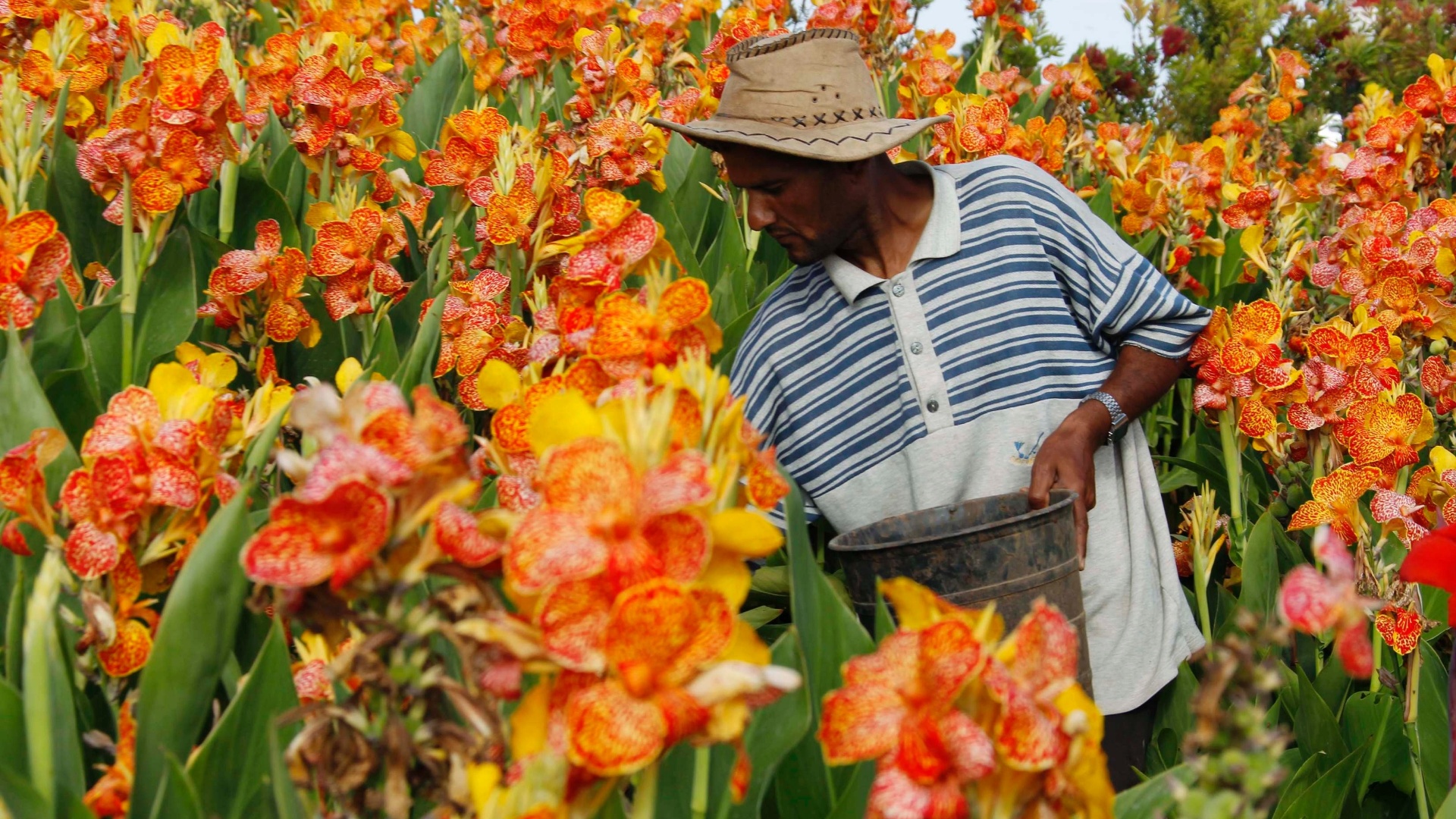Fotos: Imagens do dia - 23 de maio de 2012 - 23/05/2012 - UOL Notícias