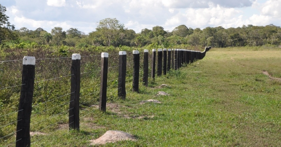 Fotos: Fiscalização descobre desmatamento em grandes proporções no Mato ...