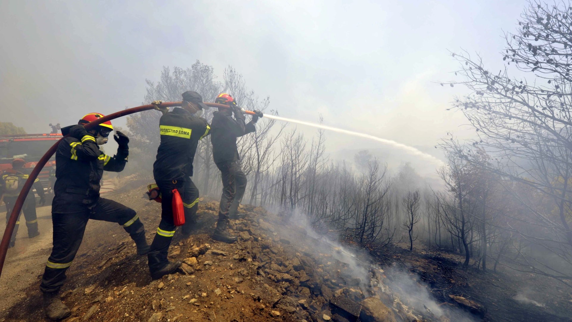 Fotos: Imagens do dia - 17 de junho de 2012 - 17/06/2012 - UOL Notícias