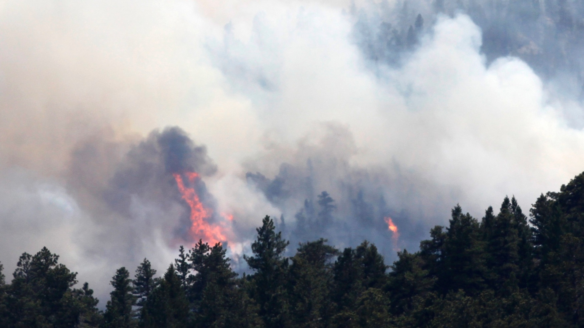 Fotos: Incêndios florestais nos EUA - 17/05/2012 - UOL Notícias
