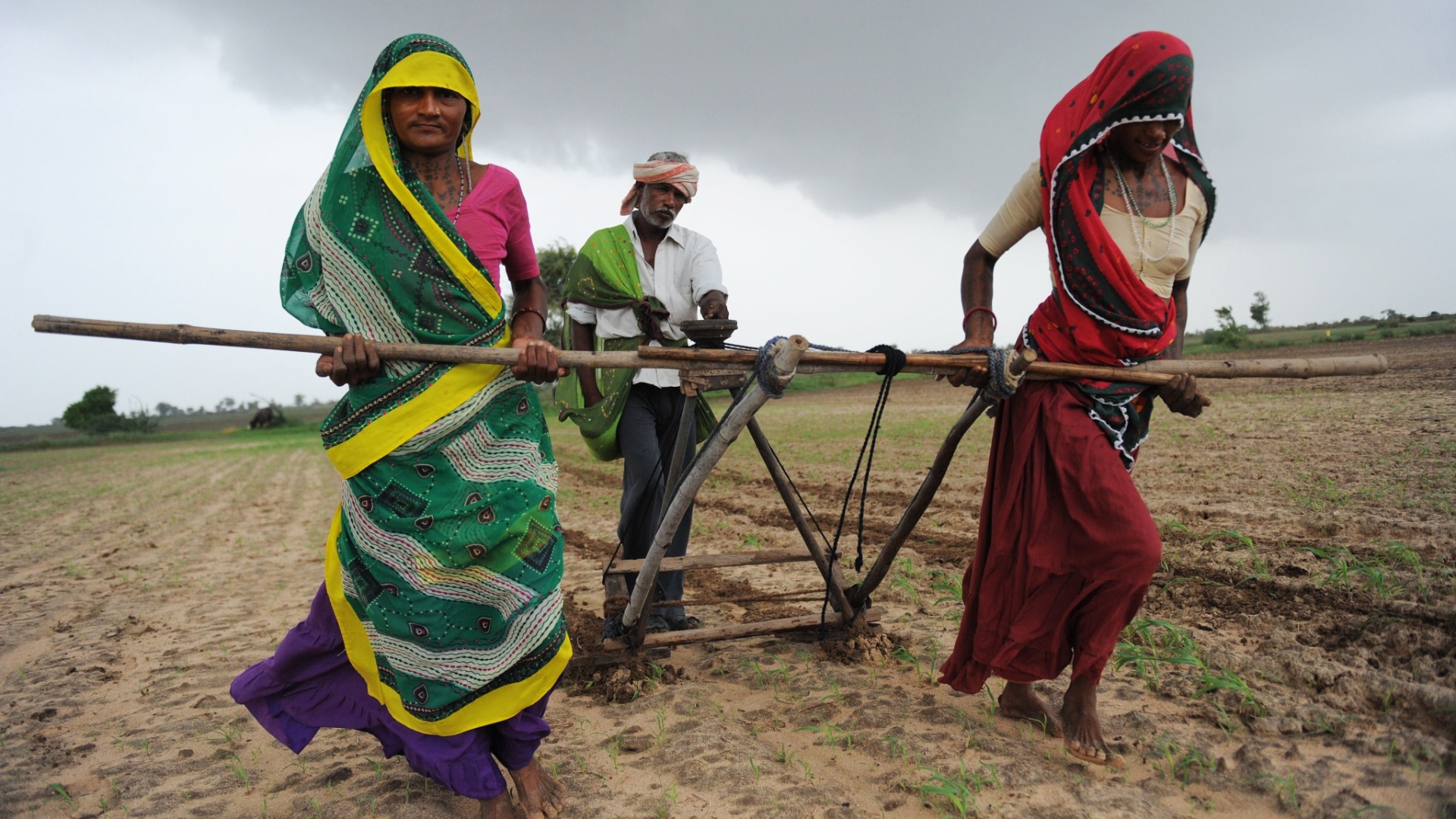 Fotos: Imagens do dia - 11 de julho de 2012 - 11/07/2012 - UOL Notícias