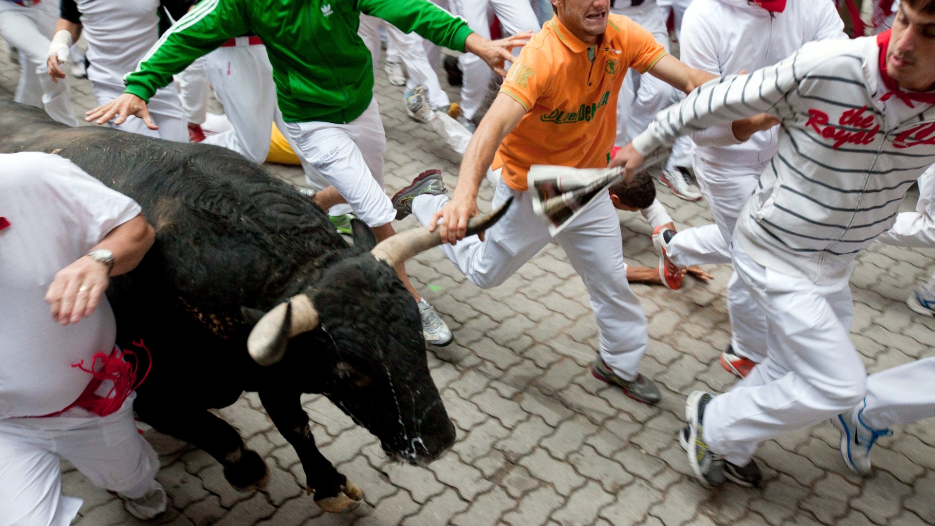 Fotos: Veja fotos de touradas e festivais ao redor do mundo - 27/07 ...