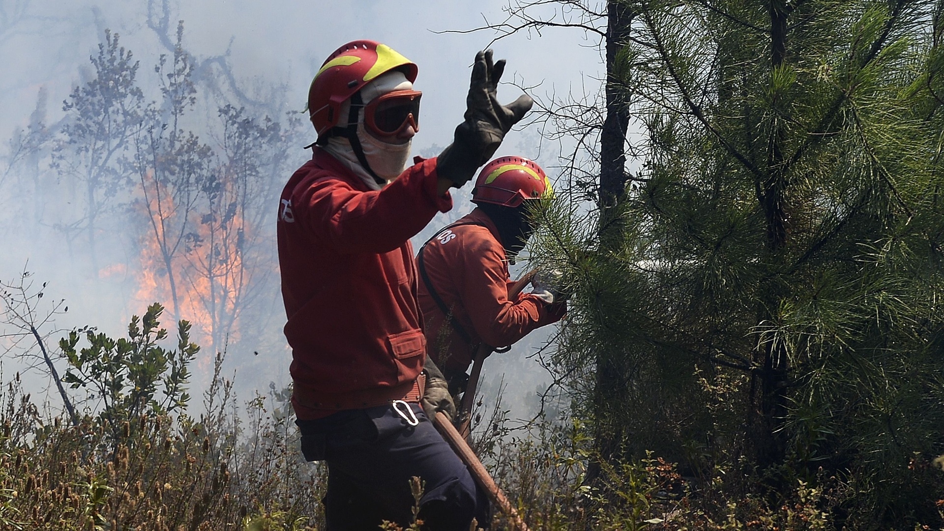 Fotos: Incêndios florestais pela Europa - 23/07/2012 - UOL Notícias