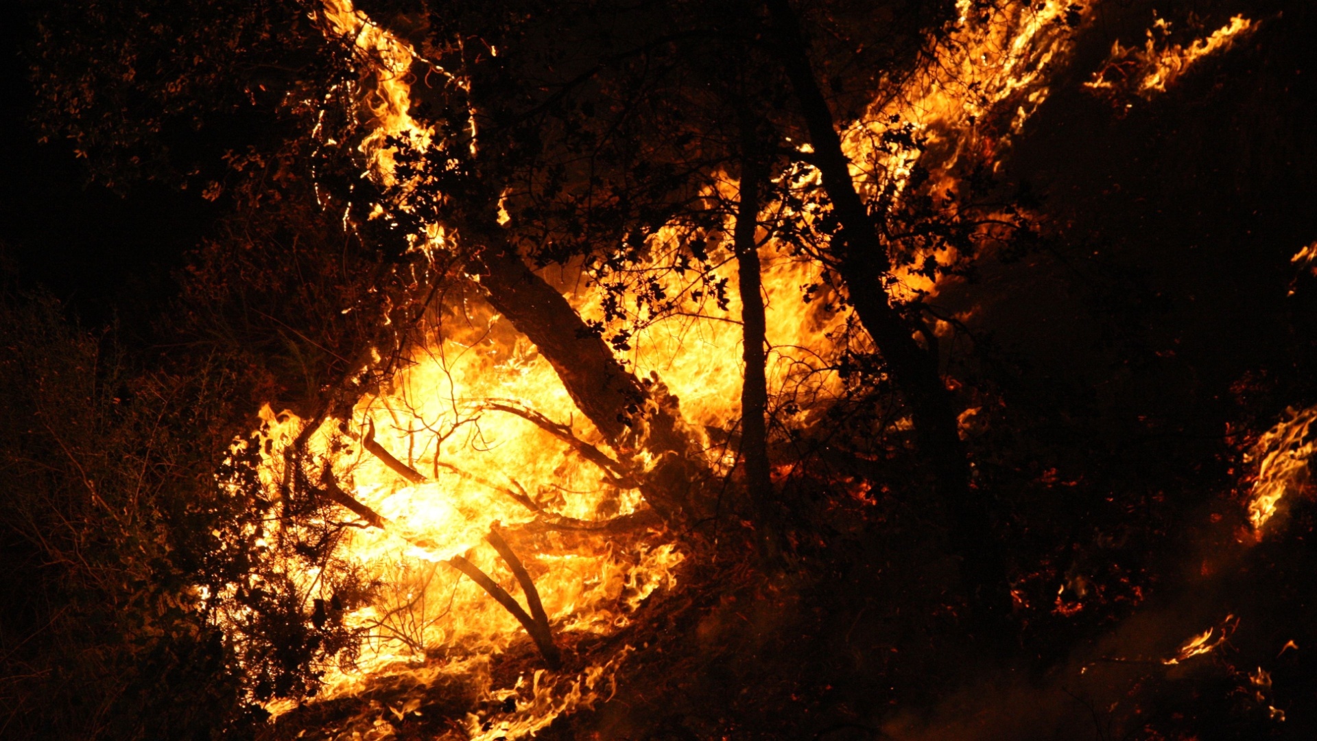 Fotos: Incêndios florestais pela Europa - 23/07/2012 - UOL Notícias