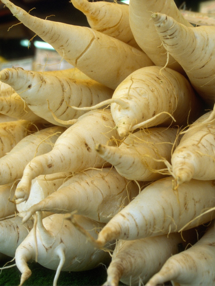 Doenças que o nabo cura: 7 benefícios desconhecidos do nabo à saúde