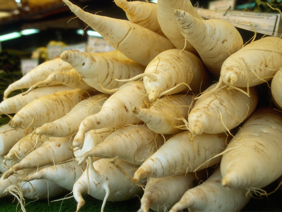 Controla açúcar no sangue, aumenta imunidade: os benefícios do nabo