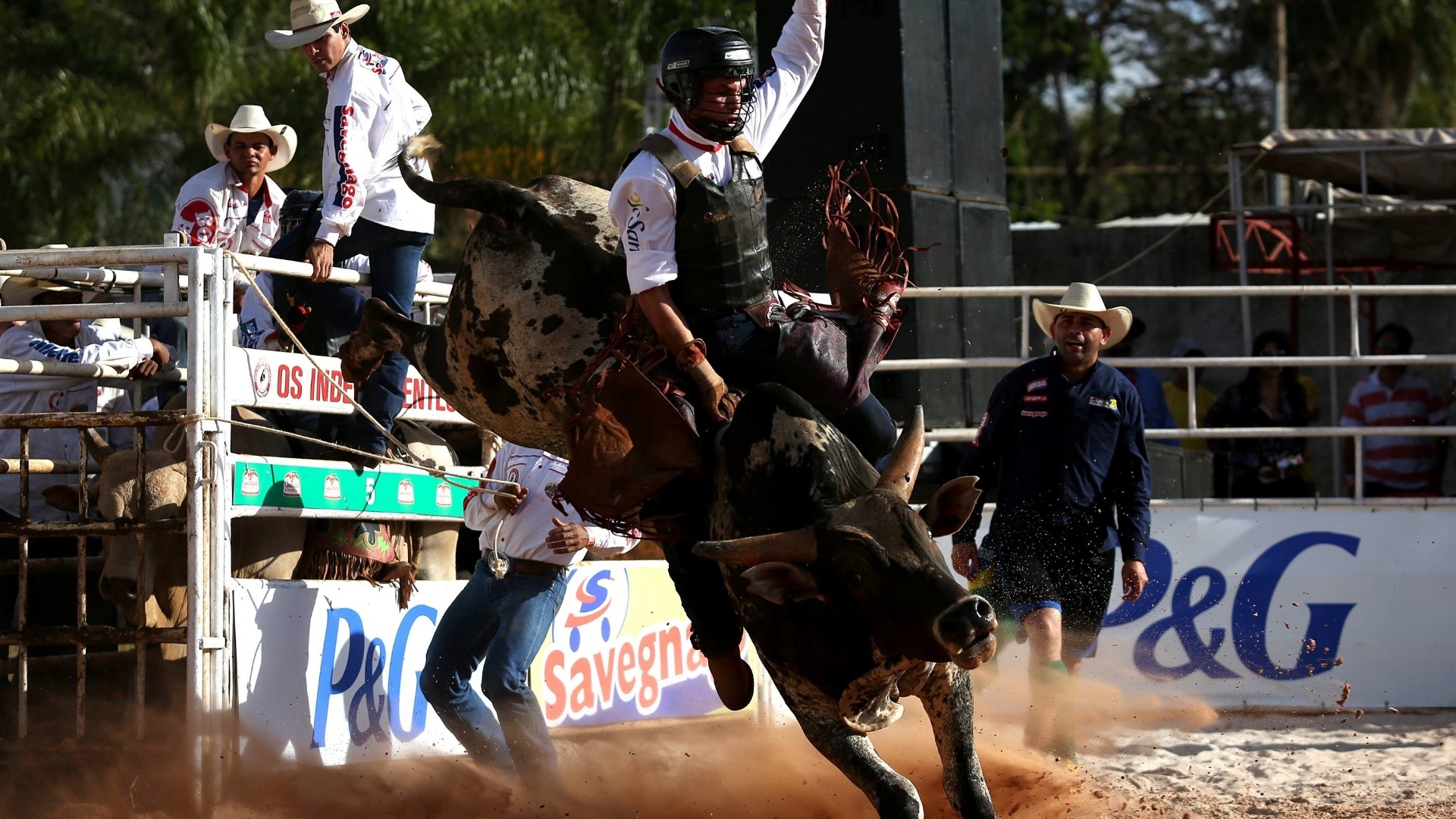 Fotos: Festa do Peão de Barretos (SP) - 16/08/2012 - UOL Notícias