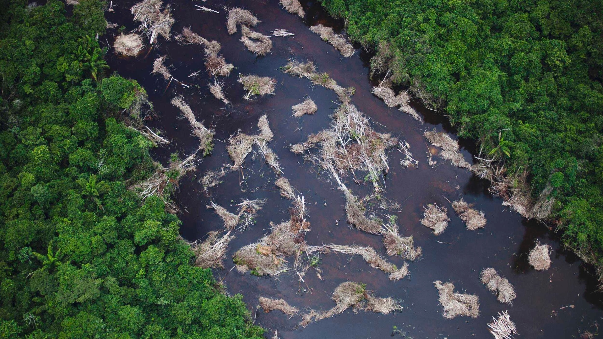 Fotos: Imagens da Amazônia - 04/09/2012 - UOL Notícias
