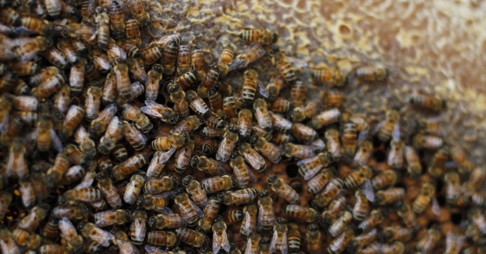 Olho Mágico - Fotos - UOL Notícias