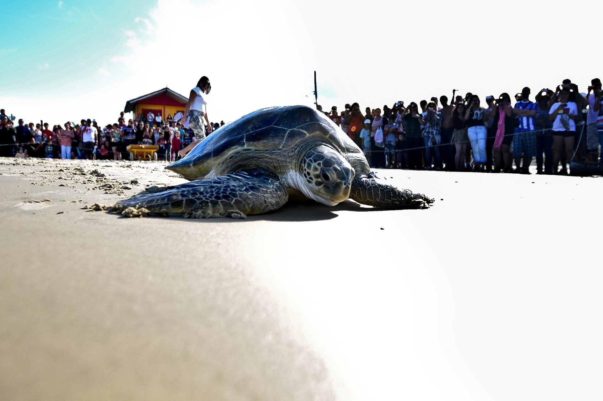 Fotos: Veja os bichos que foram notícia - 28/09/2012 - UOL Notícias