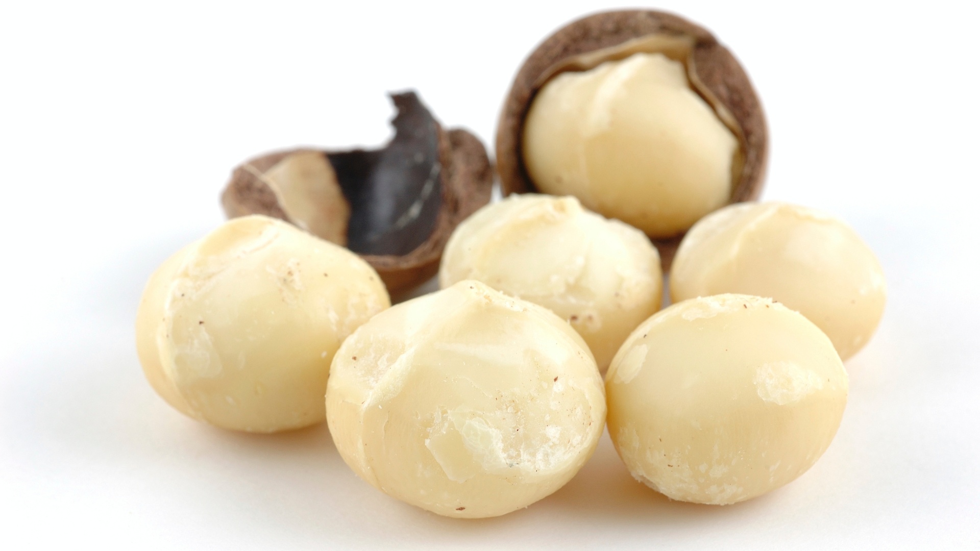 Fotos: Colheita de macadâmia cresce no Brasil, mas ainda faltam nozes ...