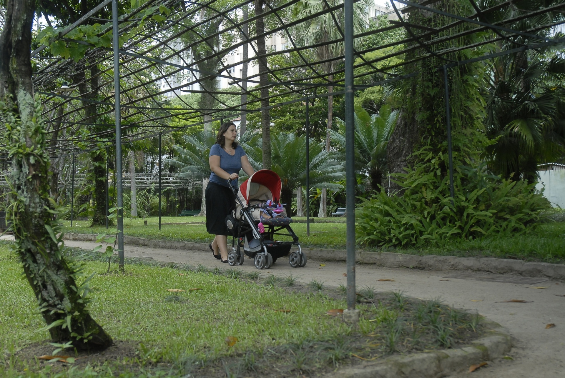 Fotos: Fundação vai revitalizar jardim histórico da casa de Rui Barbosa ...