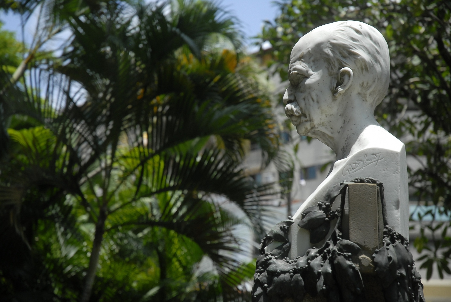 Fotos: Fundação vai revitalizar jardim histórico da casa de Rui Barbosa ...