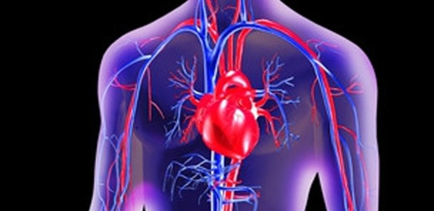 Você sabe medir batimentos cardíacos? Aprenda a identificar alterações ...
