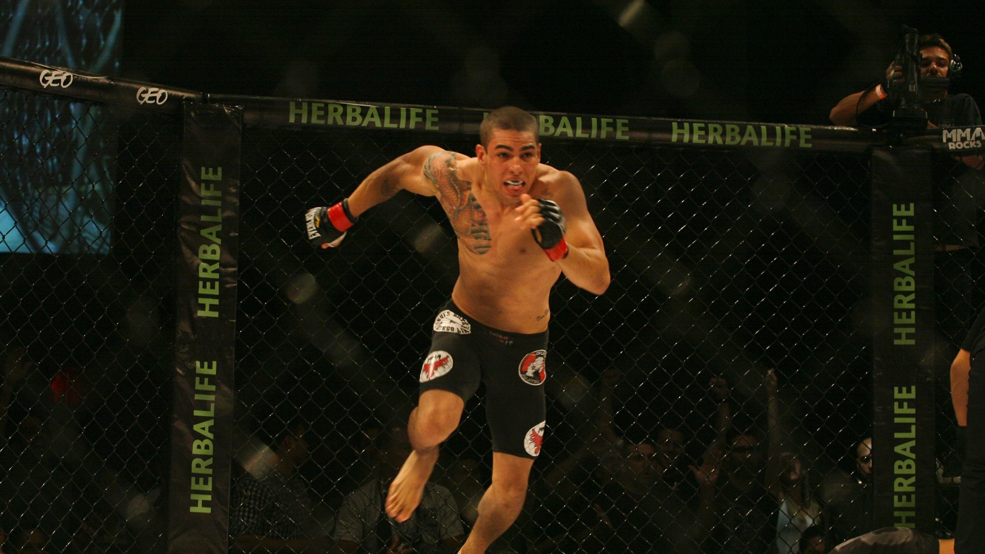 Fotos: MMA Rocks - 09/12/2012 - UOL Esporte