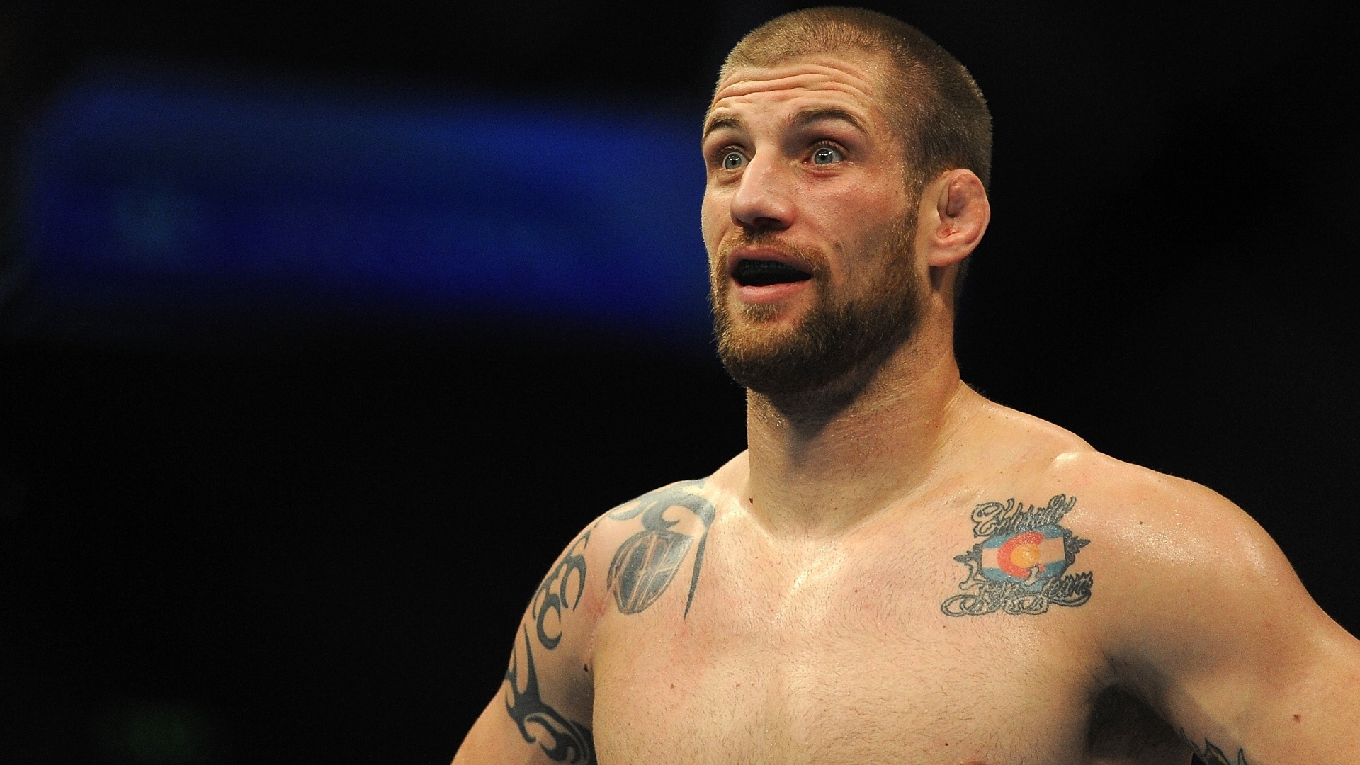 Fotos: UFC on FX 6 - 14/12/2012 - UOL Esporte