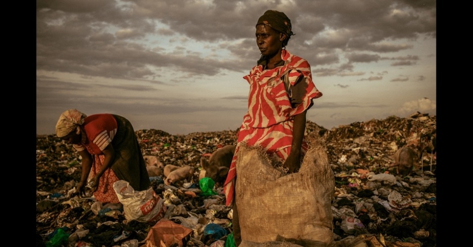 Fotos: Foto de tigre em explosão de água vence concurso da National ...