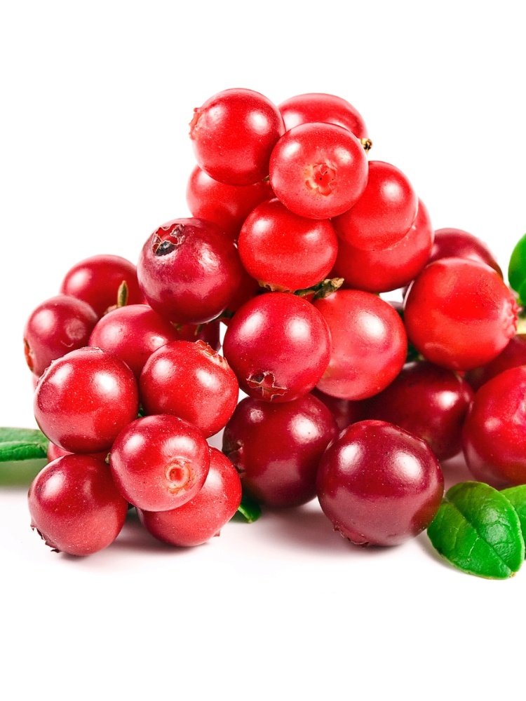 Inibe cárie e trata infecção urinária: os benefícios do cranberry à saúde