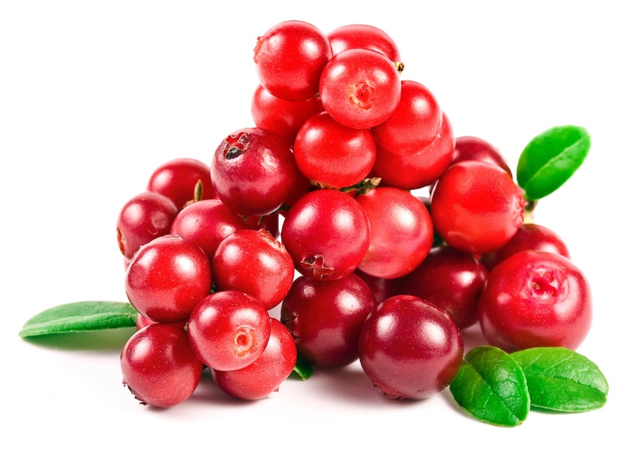 Inibe cárie e trata infecção urinária: os benefícios do cranberry à saúde