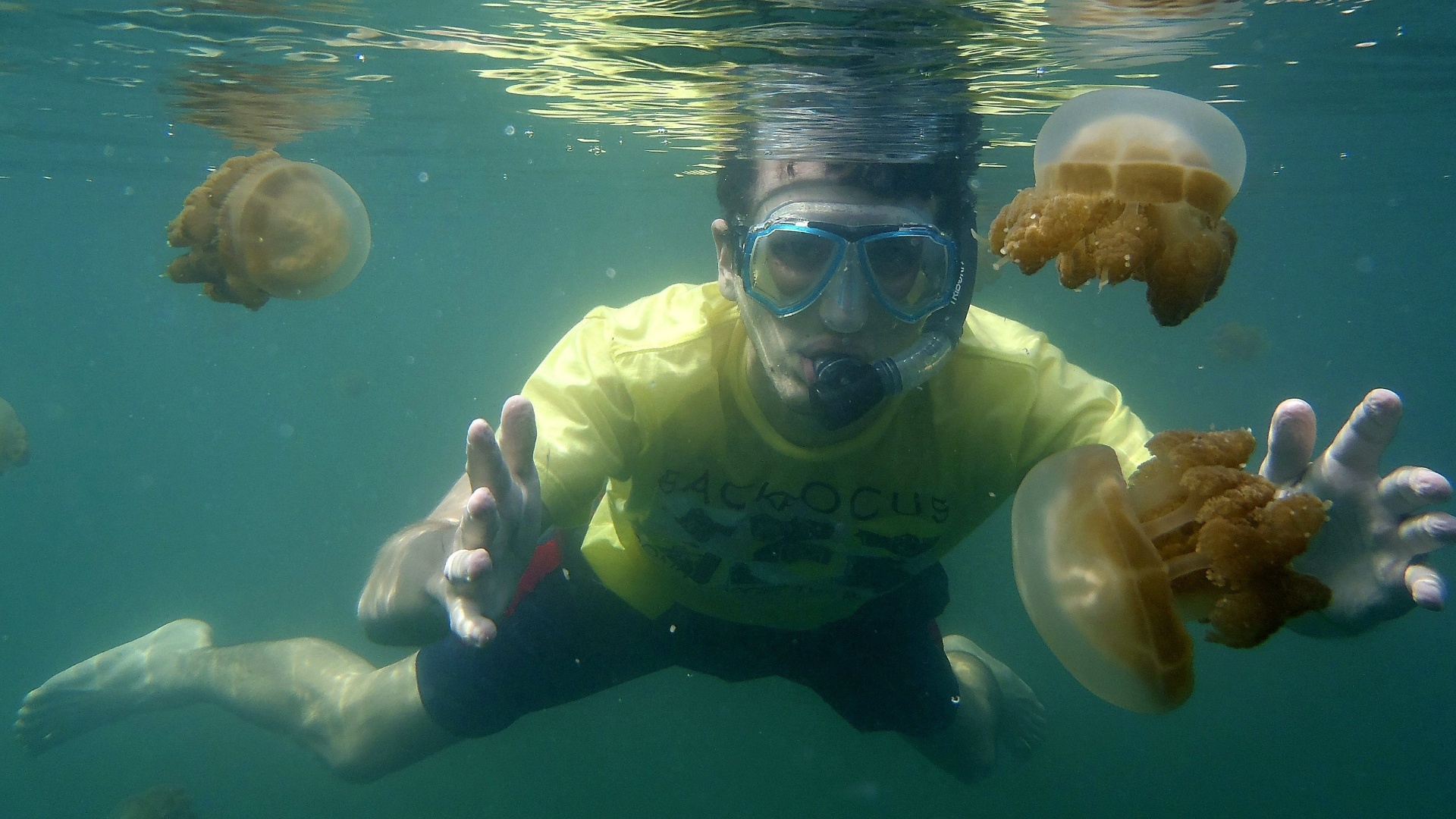 Maré negra atinge ilha turística após vazamento de 50 mil litros de ...