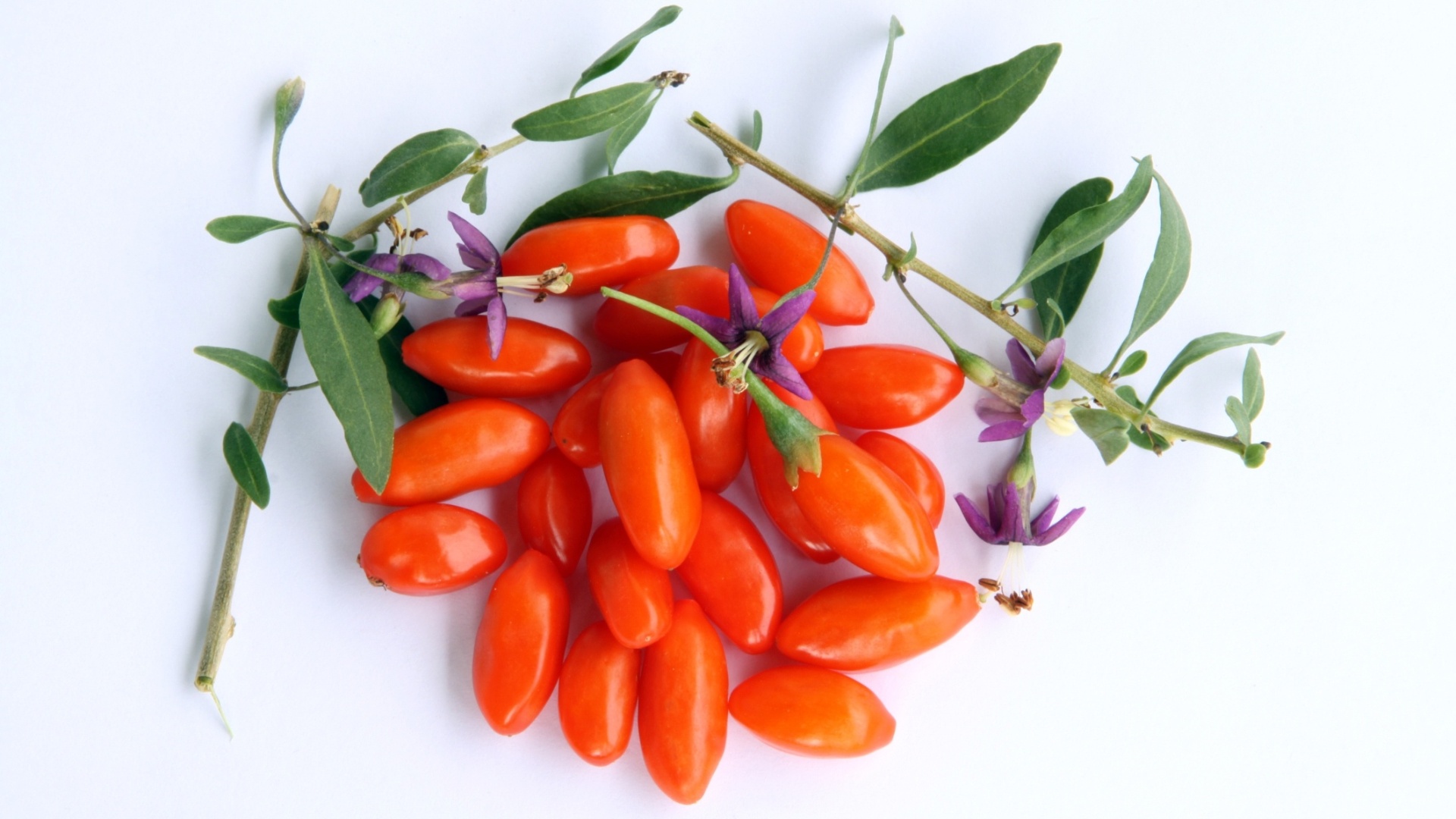 Goji berry é o superalimento da vez; veja receitas com a fruta - 19/08 ...