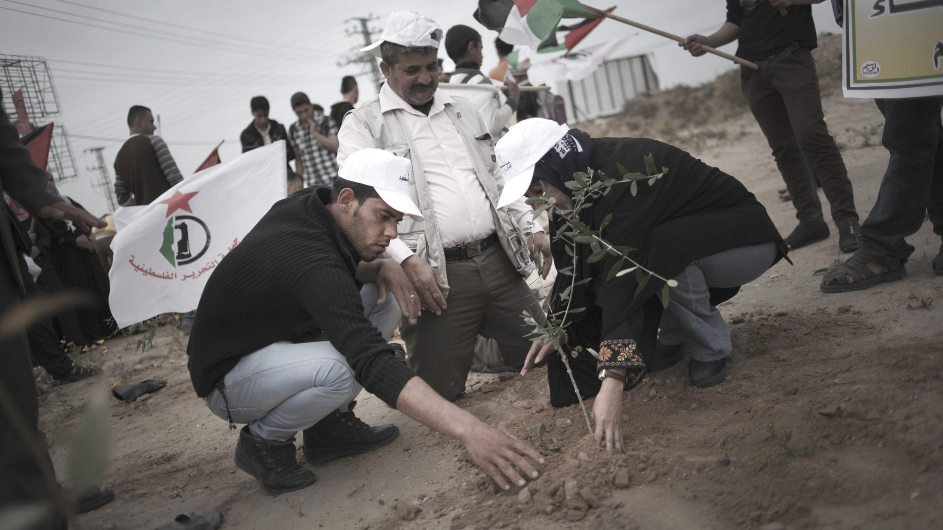 Fotos: Israelenses-árabes e palestinos celebram o Dia da Terra - 30/03 ...