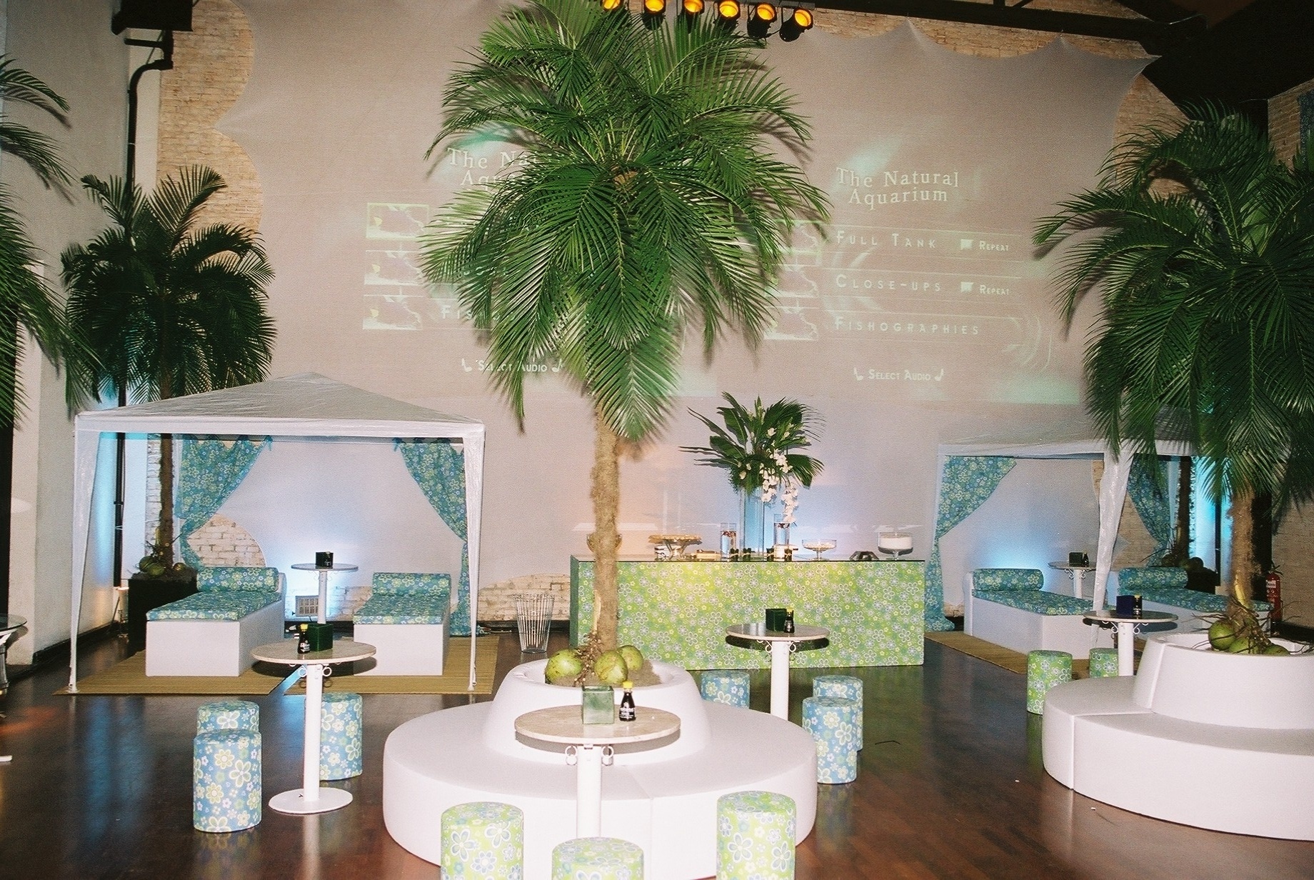 Fotos: Confira ideias de temas para festas de aniversário de ...