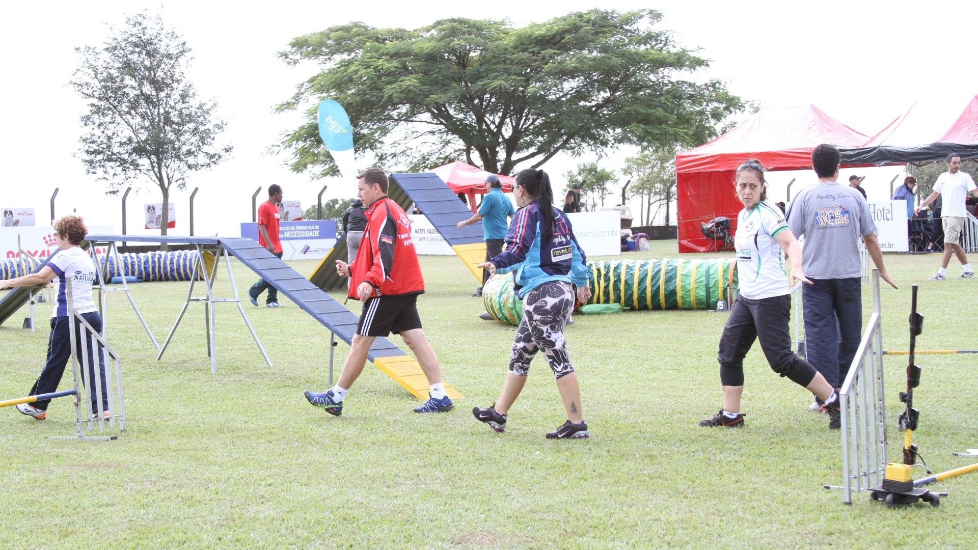 Fotos: Cães participam de Campeonato Brasileiro de Agility - 18/05/2013 ...