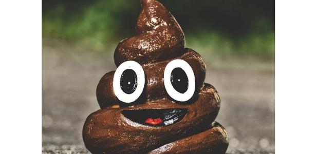 Já olhou para o seu cocô hoje? Fezes podem dar pistas sobre a saúde