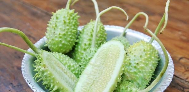 Benefícios do Maxixe à Saúde: Conheça Propriedades Benéficas