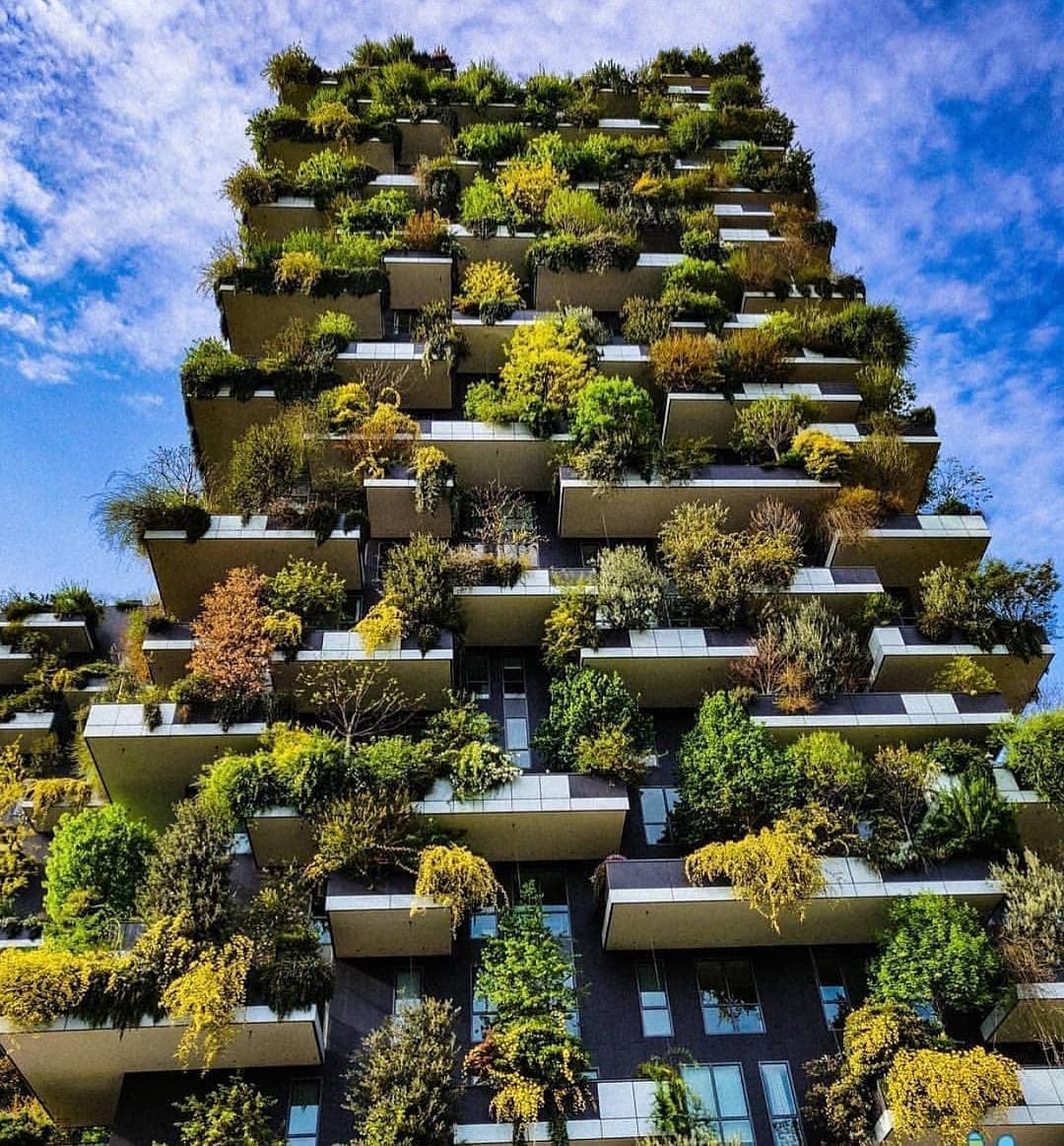 Conheça a floresta vertical em Milão - Blog Amaury Jr. - BOL