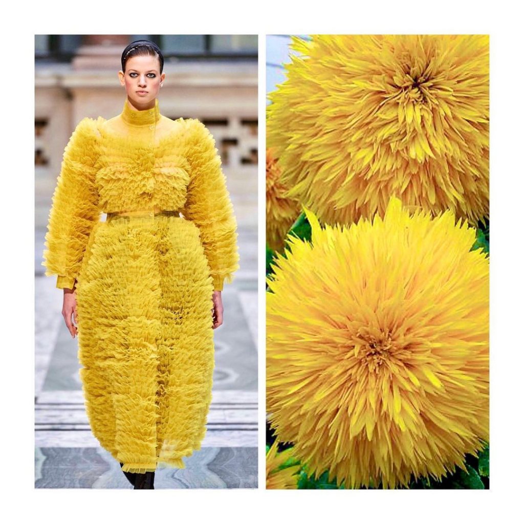 A moda inspirada na natureza - Blog Amaury Jr. - BOL