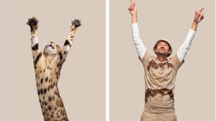 Fotógrafo faz retratos de gatos e seus sósias humanos