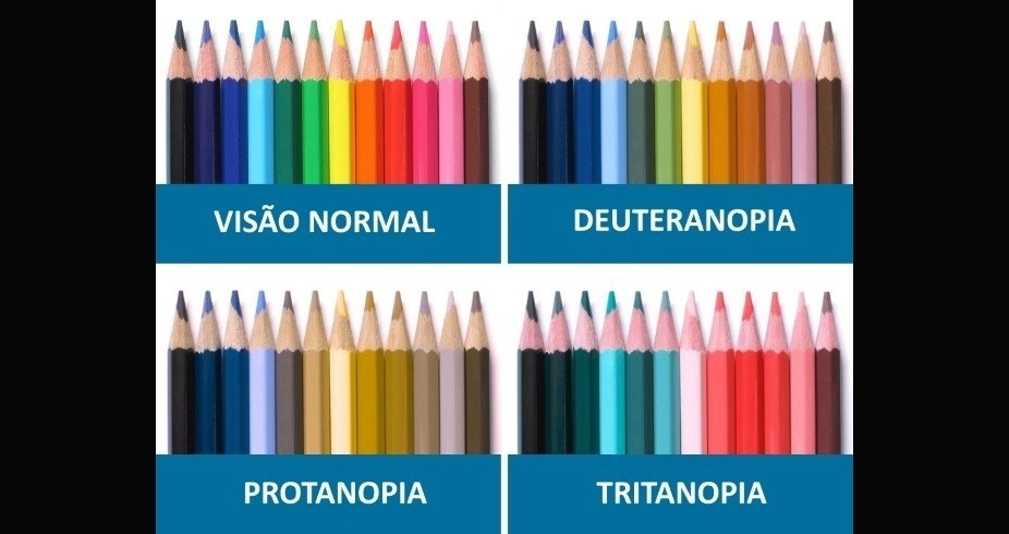 Fotos: Veja como diferentes tipos de daltonismo mudam a percepção das ...