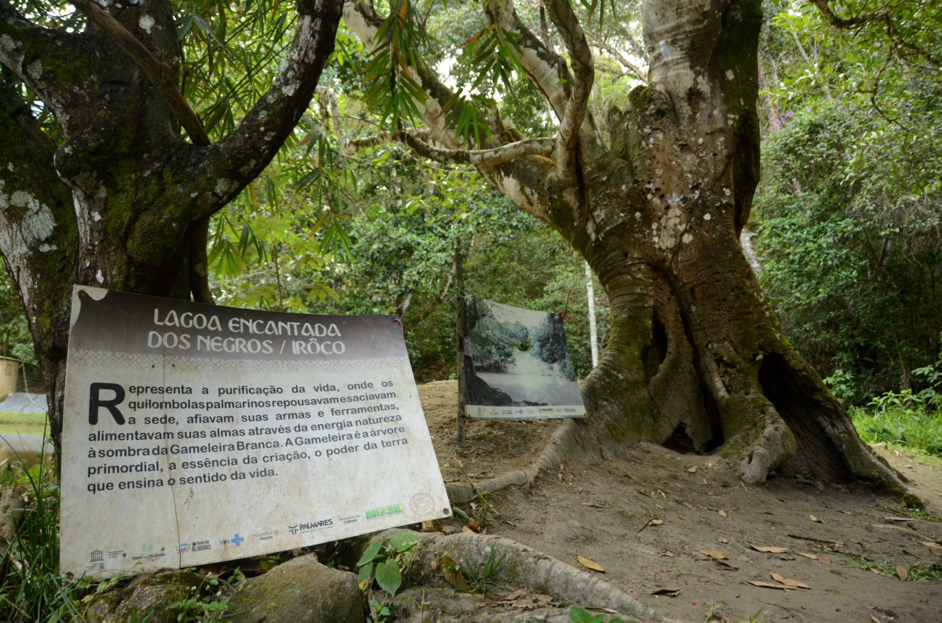 Fotos: Parque Memorial Quilombo dos Palmares (AL): um legado heróico do ...