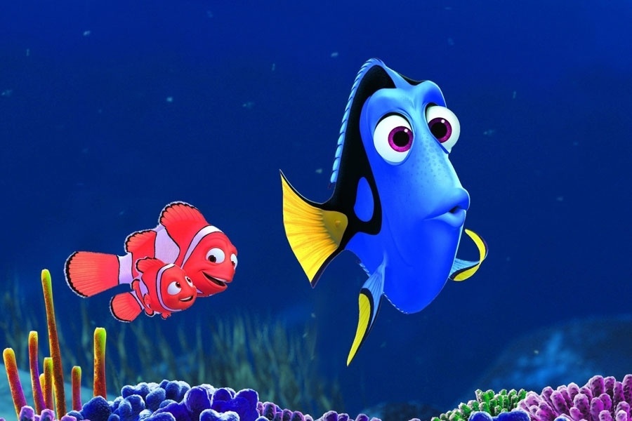 Aprenda a memorizar qualquer coisa com 10 imagens - BOL Fotos - BOL Fotos