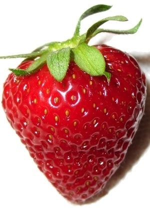 18 vegetais que você come sem saber que estão contaminados por ...