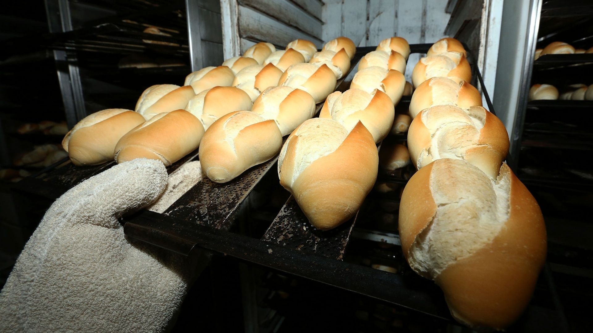 Dia do Padeiro: conheça a rotina de quem torna suas manhãs mais ...