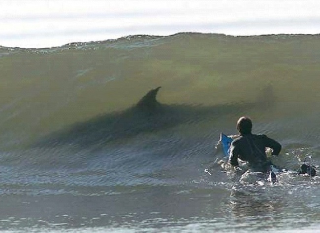 Fotos: Fotos que provam que o fundo do mar pode ser assustador - 08/10 ...