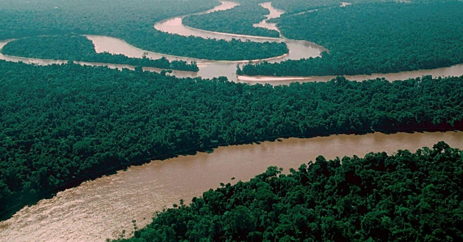 21 fatos sobre a Amazônia, sua floresta e seus rios - Listas - BOL