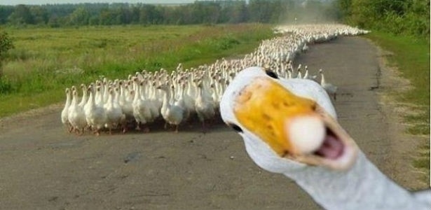 Mais 15 fobias que você talvez não conheça - Listas - BOL